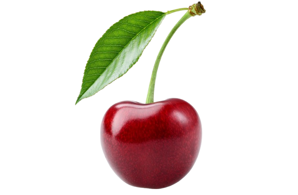 Our Pure and Organic Cherry Varieties In Otago, NZ
